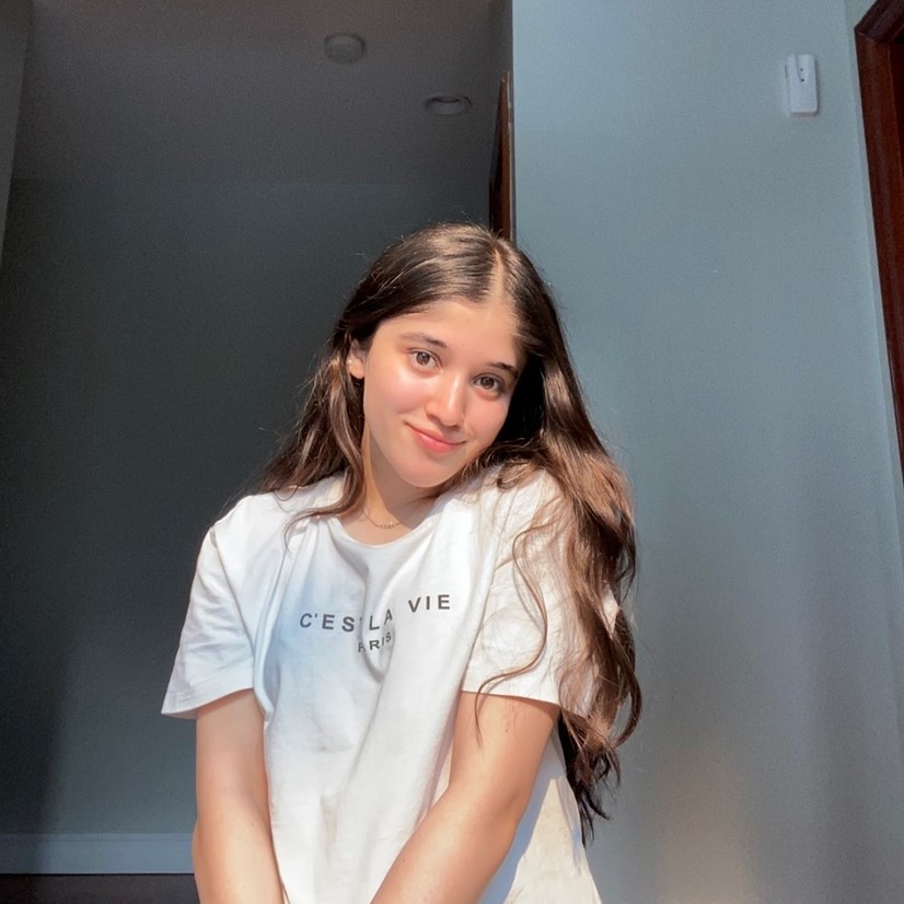 Iman Shah – SBU Brooklogue